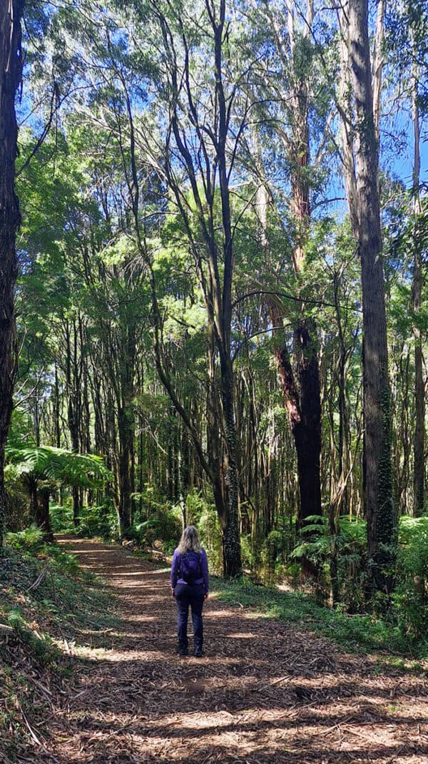 Guided day hikes near Melbourne for women who love nature